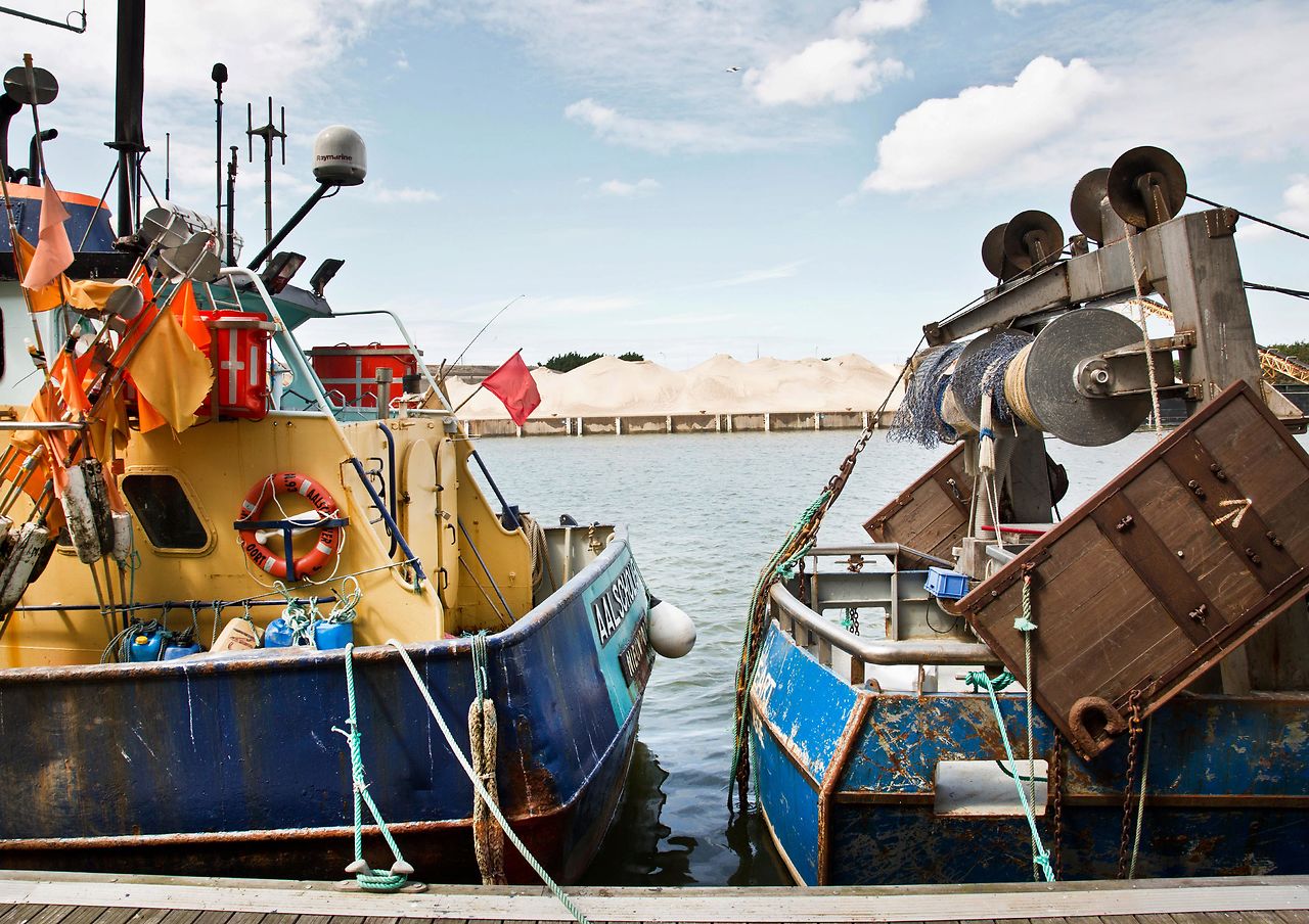 Summer 2019 - Lookbook - Morley, clothing for kids